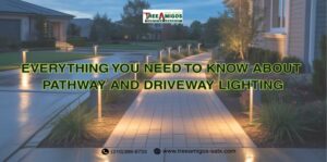 Pathway & Driveway Lighting in San Antonio & Boerne